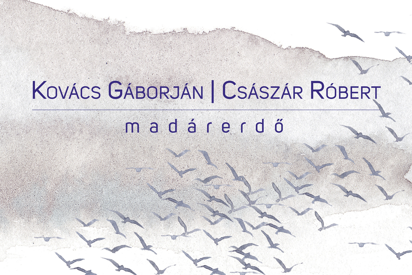 Megjelent! Kovács Gáborján-Császár Róbert: Madárerdő - Patika Magazin Online